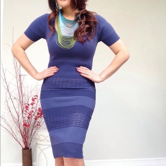 Reiss | Dresses | Euc Reiss Cobalt Blue Crochet Banded Bodycon Fitted ...